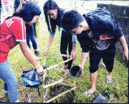 Tree Planting Activity • Eastern Visayas State University - Tanauan Campus